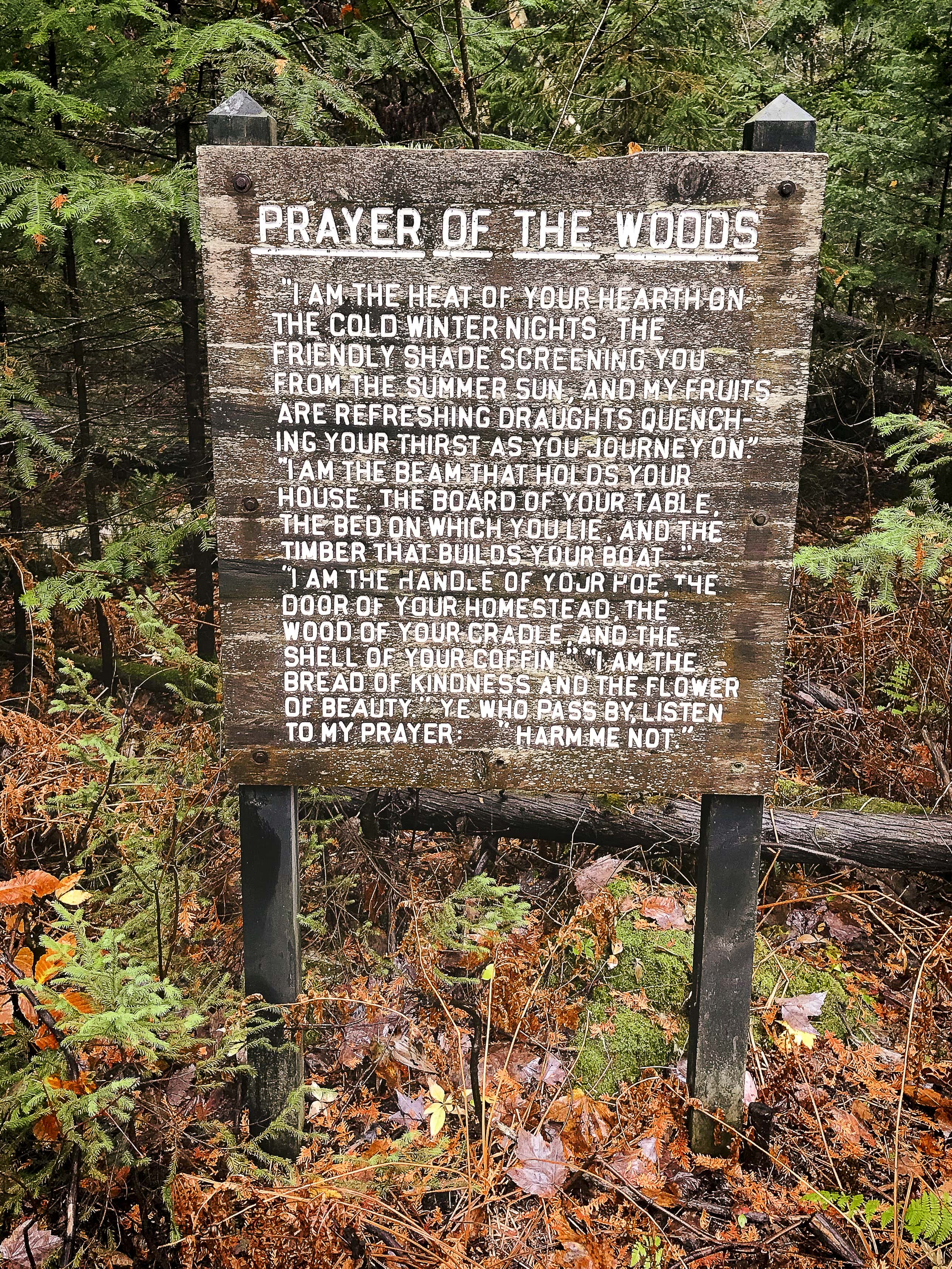Prayer-of-the-Woods – Her Life Adventures