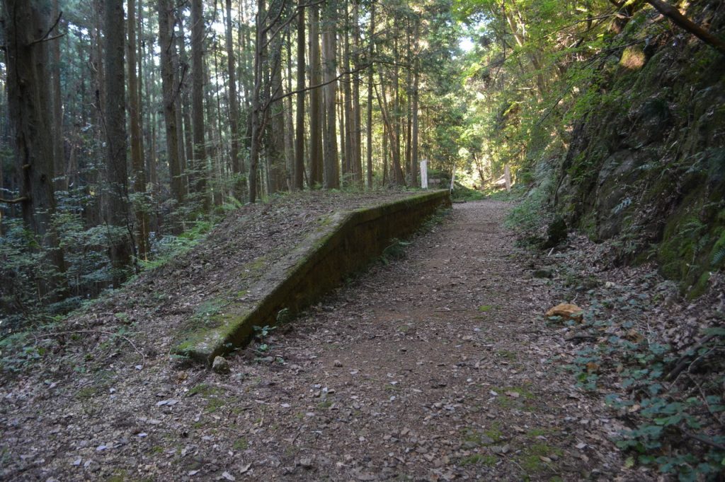 Former Train Lines That Were Closed for the Oddest Reasons – Her Life ...