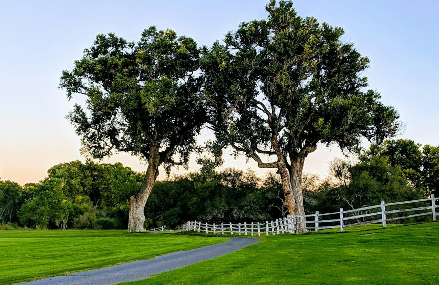 11 Desert Towns Near Tucson, AZ, That Feel Manageable Once You Ditch ...