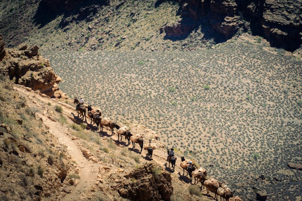 The 7 U.S. Canyon Rim Walks With Suicide Jump Warnings – Her Life ...